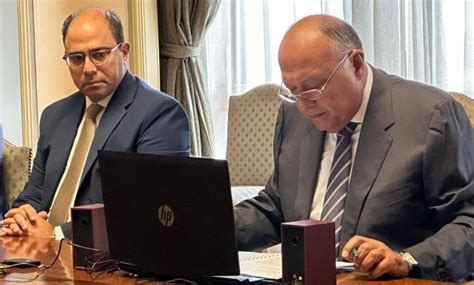 Egyptian Fm Demands Intl Organizations To Ramp Up Humanitarian
