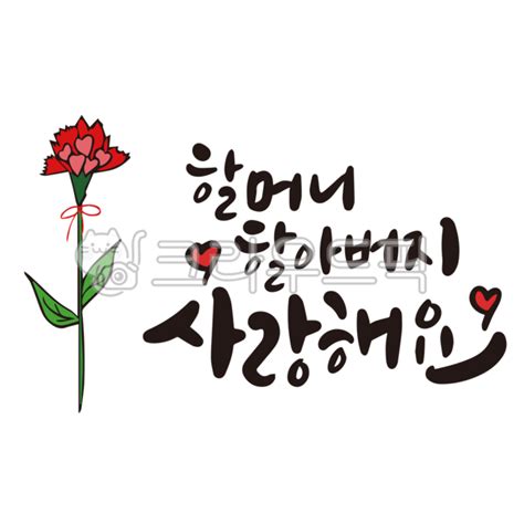 할머니 할아버지 사랑해요 카네이션 어버이날문구 사진이미지일러스트캘리그라피 글씨팩토리작가