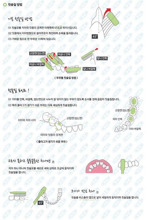 칫솔질 방법 Ohc칫솔샵
