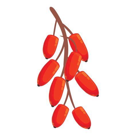 Barberry Fruit Icon Cartoon Vector Goji Berry 14357650 Vector Art At