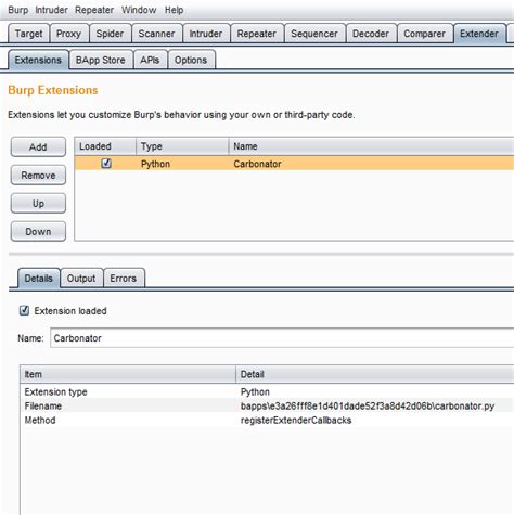 information security burp automation and build integration