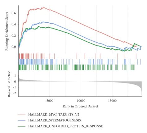 cell differentiation trajectory related gene based consensus clustering download scientific