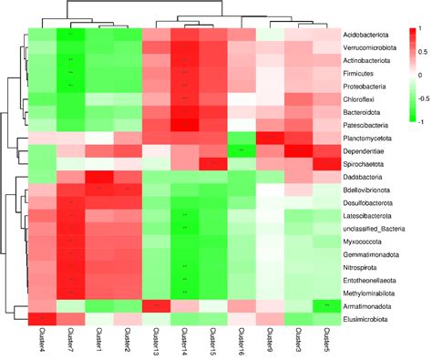 【多组学专题】一文带你学会微生物组 代谢组数据挖掘 分析 进行 层面