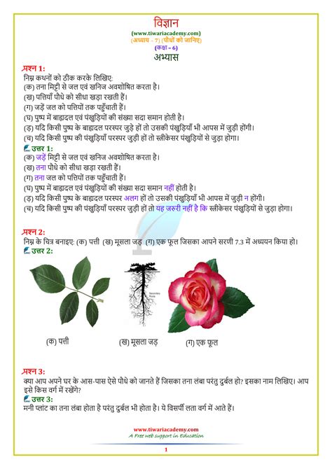 NCERT Solutions For Class 6 Science Chapter 7 Getting To Know Plants