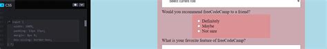 build a survey form drop down and radio text alignment html css