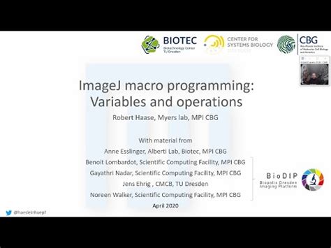 Getting Started With ImageJ Macros Image Analysis Image Sc Forum