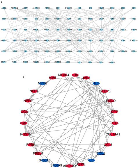 frontiers robust rank aggregation and least absolute shrinkage and