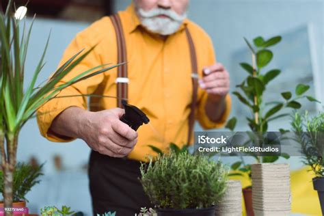 스프레이 병을 급수 화분에 심는 식물 집에서 수석 남자의 클로 우즈 업 보기 꽃 식물에 대한 스톡 사진 및 기타 이미지 꽃