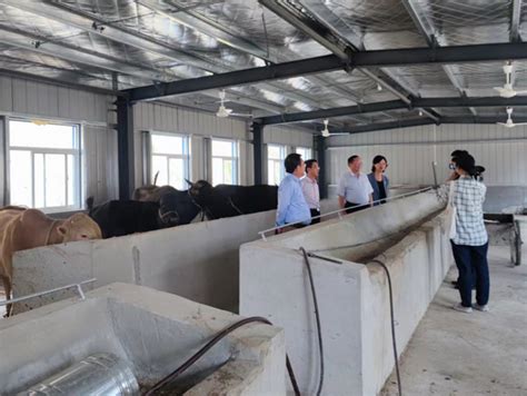 郑永飞赴金寨为 同心示范工程提质升级把脉会诊 中共六安市委统战部