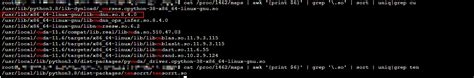 Error Code Myelin Compiled Against CuDNN But Running Against CuDNN