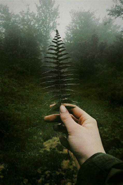 Пин на доске Модель Зеленая природа Эстетика Зеленые фоны