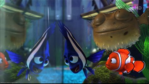Disney Trivia In Case You Missed It In Finding Nemo Debs