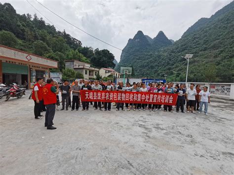 天峨县科技特派员进村入户开展技术培训河池广西壮族自治区农业农村厅