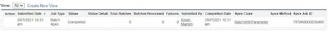 passing parameter to batch class