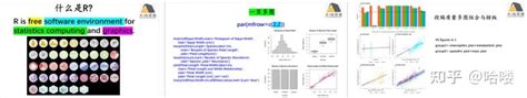 如何提高数据分析能力？r语言生物群落数据统计分析与绘图 知乎