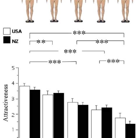 Pdf Human Physique And Sexual Attractiveness In Men And Women A New
