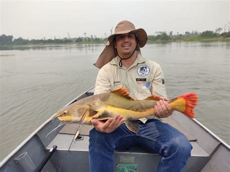 Turismo De Pesca Pesque Solte E Leve Para Casa Momentos Incríveis