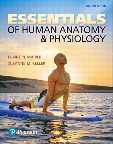 0134395328 D0wnload Essentials Of Human Anatomy And Physiology Pdf