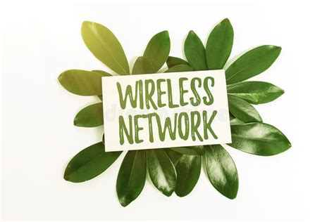 Text Sign Showing Wireless Network Business Overview Computer Network