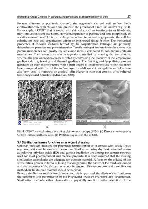 Biopolymers And Their Types And Applications Pdf