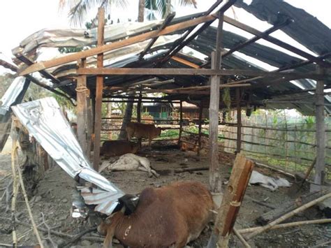 ကလေးမြို့နယ်တောင်ပိုင်းရှိ ကျေးရွာများကို စစ်တပ်က တိုက်ပွဲဖြစ်ပွားခြင်းမရှိဘဲ လက်နက်ကြီးဖြင့် ပစ