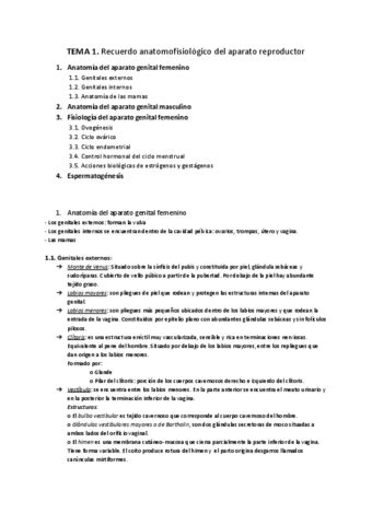 Mujer Pdf