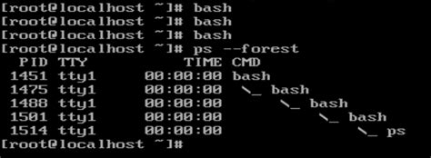Shell Script 4 Bashin Yapılandırma Dosyaları Ali Sezişli Kernel Panic Not Syncing