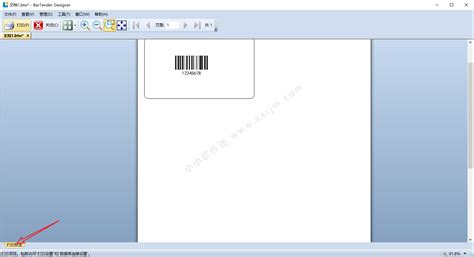BarTender 企业版 2022 R7 V11 3 209432 中文激活版 去水印 小小软件迷