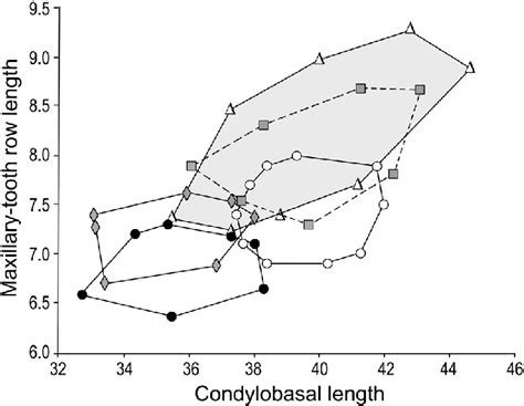 Bivariate Plot Of The Maxillary Tooth Row Length Against Condylobasal Download Scientific