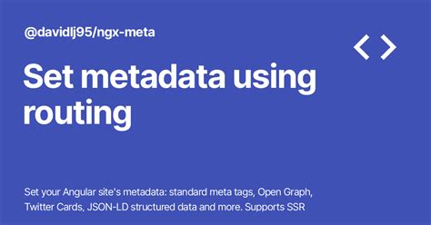 Set Metadata Using Routing Davidlj95ngx Meta