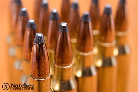 Types Of Bullets For Hunting Competitions Self Defense