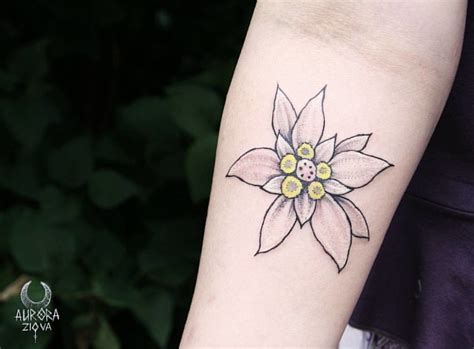 Благородный белый цветок эдельвейс Edelweiss Flowerart Flowertattoo