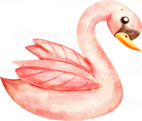 Watercolor Swan Clip Art 23323464 Png
