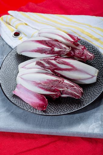 신선한 붉은 Radicchio 치 코리 나 벨기에 꽃 상 추 야채 일컬어 Witlof Salade 그룹 빨강에 대한 스톡 사진
