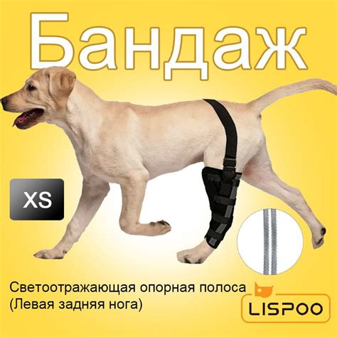 Бандаж ортопедический для животных, Наколенники для левая задняя нога ...