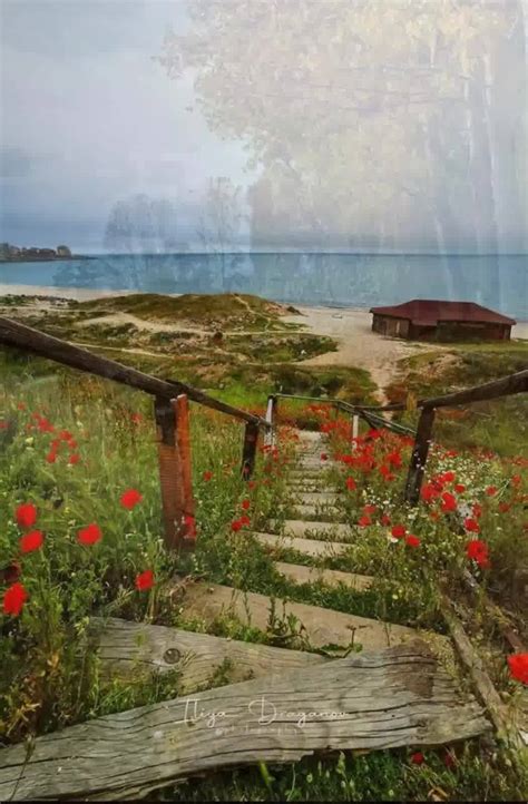 Българийо моя Родино Home Facebook