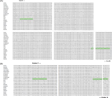 Sequence Alignment Of Cyt B Gene And Designation Of Species Specific