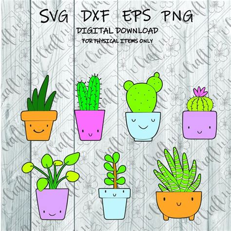 Cacti Bundle Svg Cacti Svg Cacti Clipart Plant Svg Plant Bundle Svg