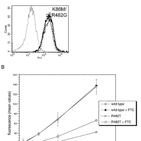 32 P 8 Azido Atp Binding Of The Wild Type And R482g R482t Or