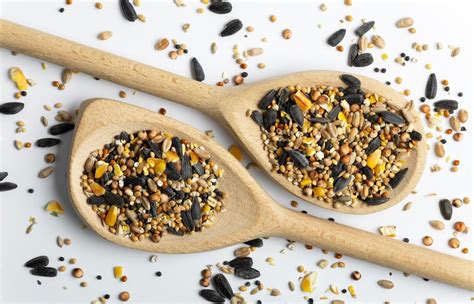 Quality Bird Food │ Kennedy Wild