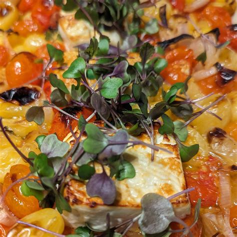 Red Cabbage Closed Loop Farms