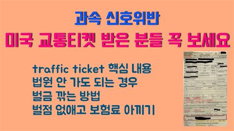 과속 신호위반 교통티켓 받은 분들 꼭 보세요 미국 Traffic Ticket 처리 방법벌금 보험료 아끼는 꿀팁 미국교통