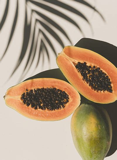 What Is Elaluz By Camila Coelho Conscious Beauty Products