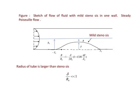Mathematical Modelling Of Cardiovascular System Pptx Physics Science
