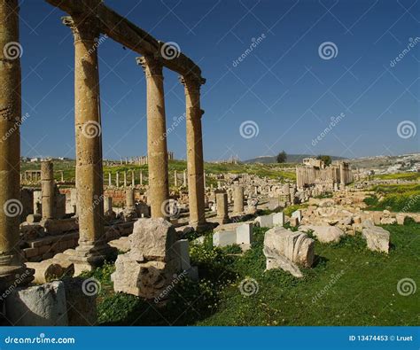 Jerash Stock Image Image Of Flowers Brown Spring East 13474453