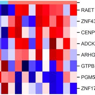 Heatmap Showing Expression Of The 8 Genes Differently Expressed In NASH