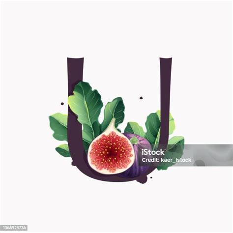 Logo Huruf U Dengan Buah Ara Ungu Matang Segar Dan Irisan Dengan Daun