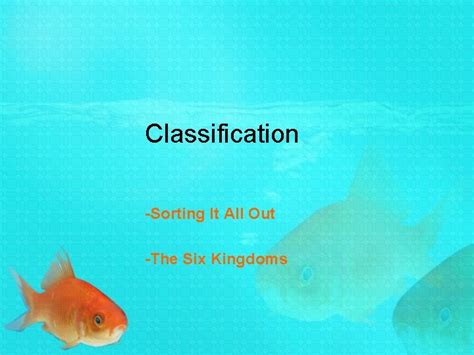 Classification Sorting It All Out The Six Kingdoms
