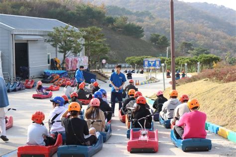 인천 놀거리 강화도 루지 데이트 강화루지 코스 주말 후기 가격 할인 예약 네이버 블로그