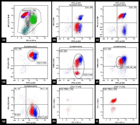 Flow Cytometry Immunophenotyping Of Bone Marrow Indicating Download Scientific Diagram